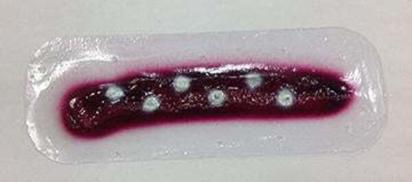 MediTac Kits - Large Laceration 5 Cm Stickon - Military & First ...